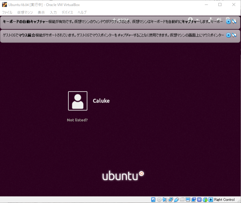 Windows10環境でOracle VM VirtualBoxにUbuntu 18.04 LTSをインストールする方法 - データテックログ